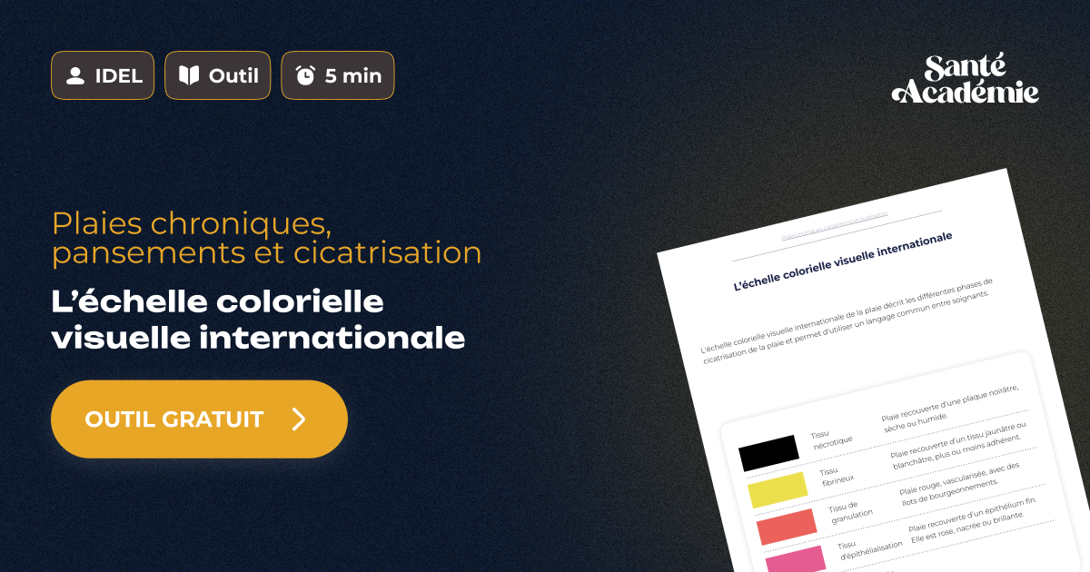 Échelle colorielle visuelle internationale - Téléchargez l'outil ...